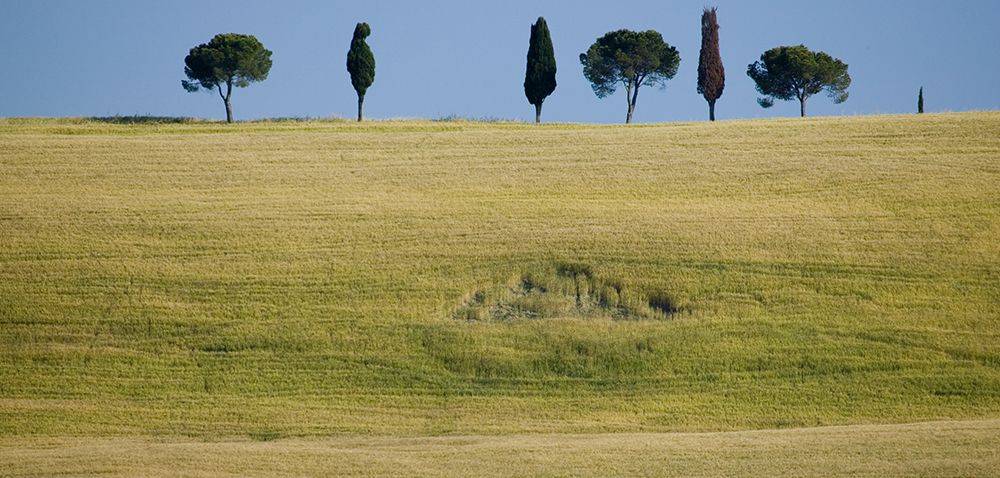 Tuscany: home of a Gladiator - Beyond Toscano
