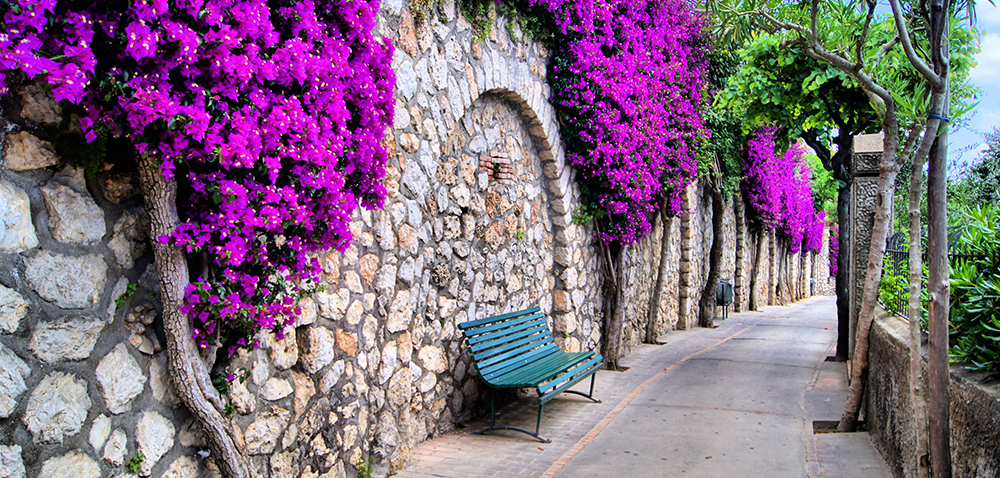 Capri’s mythical odyssey - Beyond Toscano
